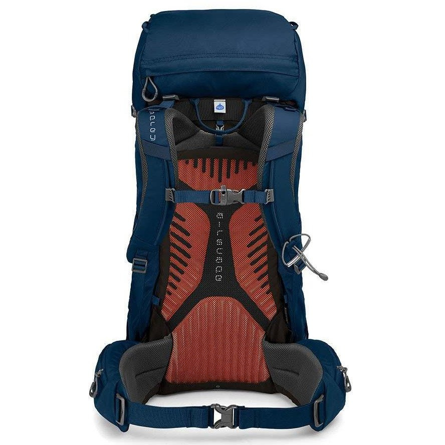 Plecak do trekkingu Osprey Kestrel 38 M/L - picholine green - Equip.pl ...